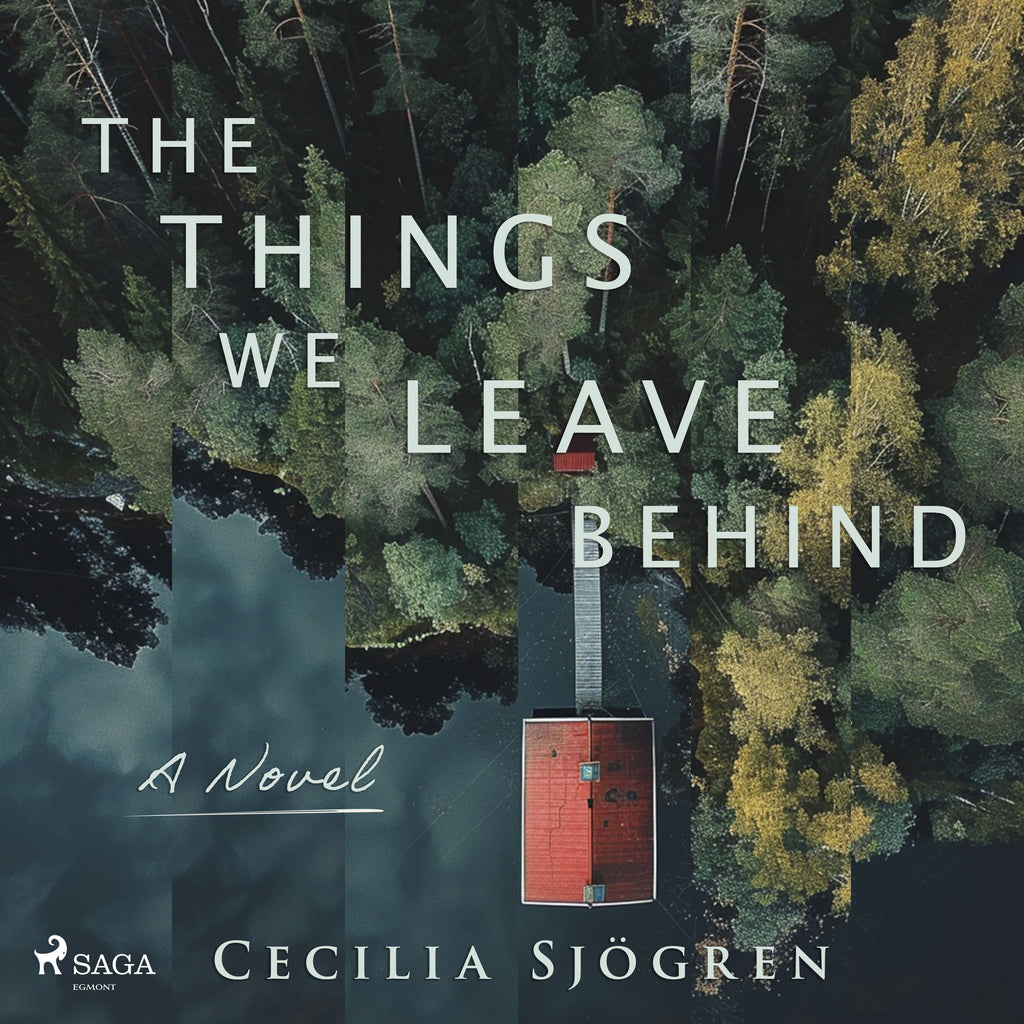 Things We Leave Behind: a dual timeline, literary thriller set in Swed - Cecilia Sjögren ...