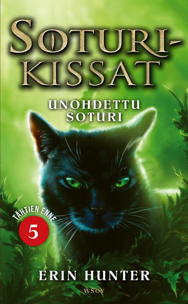 Soturikissat: Tähtien enne 5: Unohdettu soturi - Erin Hunter - Pokkari Pehmeäkantinen ...