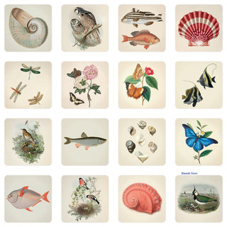 Muistipelit | Suomalainen.com