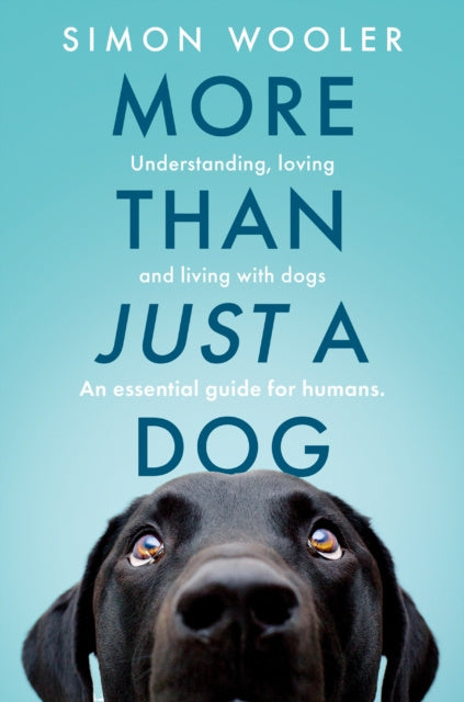 More Than Just a Dog - Understanding, Loving and Living with Dogs. an ...
