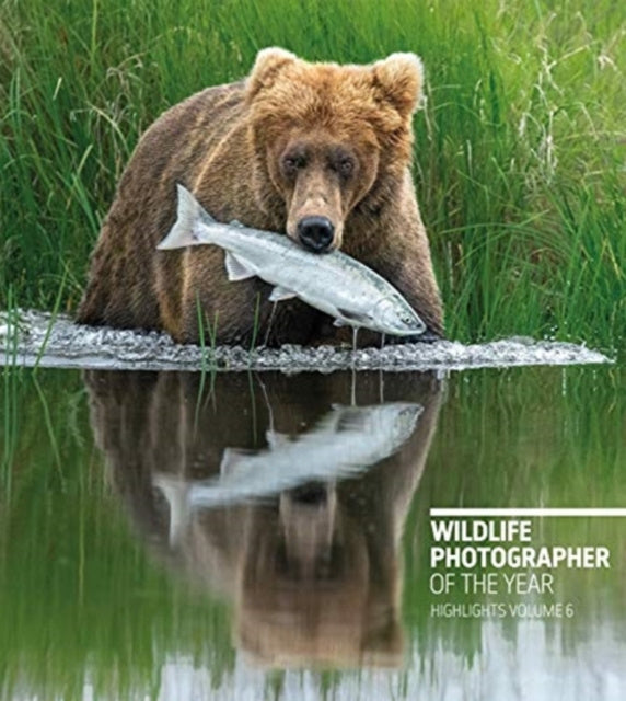 Wildlife Photographer of the Year: Highlights Volume 6 - Volume 6 ...