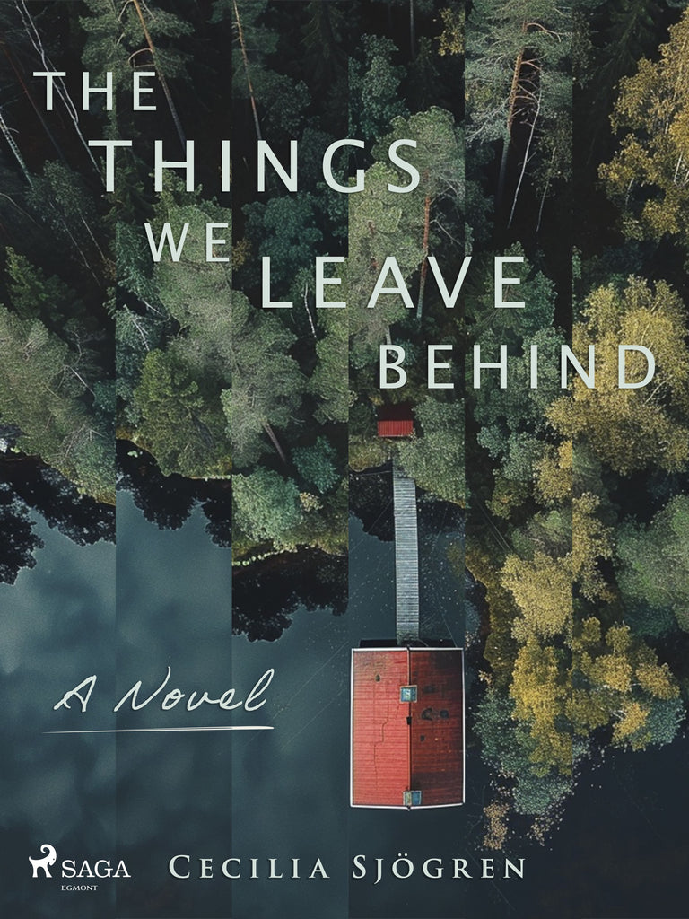 Things We Leave Behind: a dual timeline, literary thriller set in Swed ...