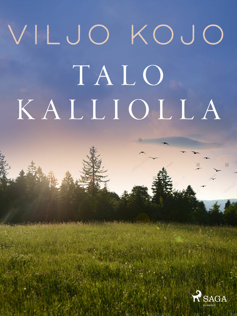 Talo kalliolla - Viljo Kojo - E-kirja | Suomalainen.com