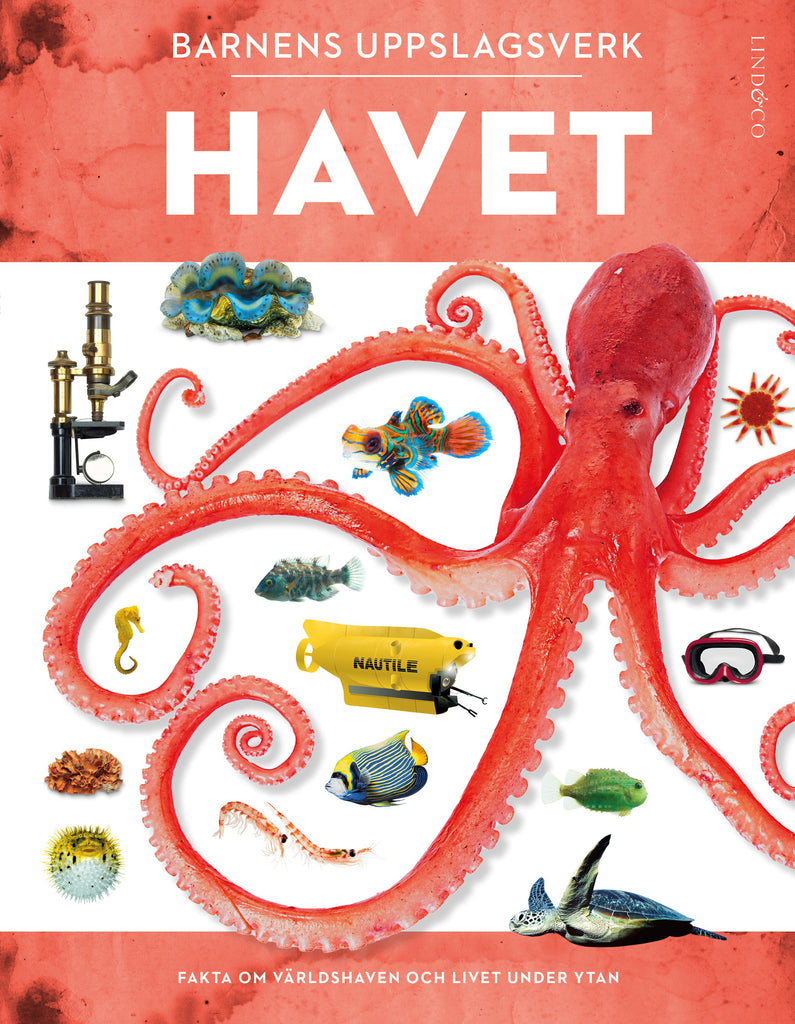 Barnens uppslagsverk. Havet - Miranda Macquitty - Kovakantinen ...