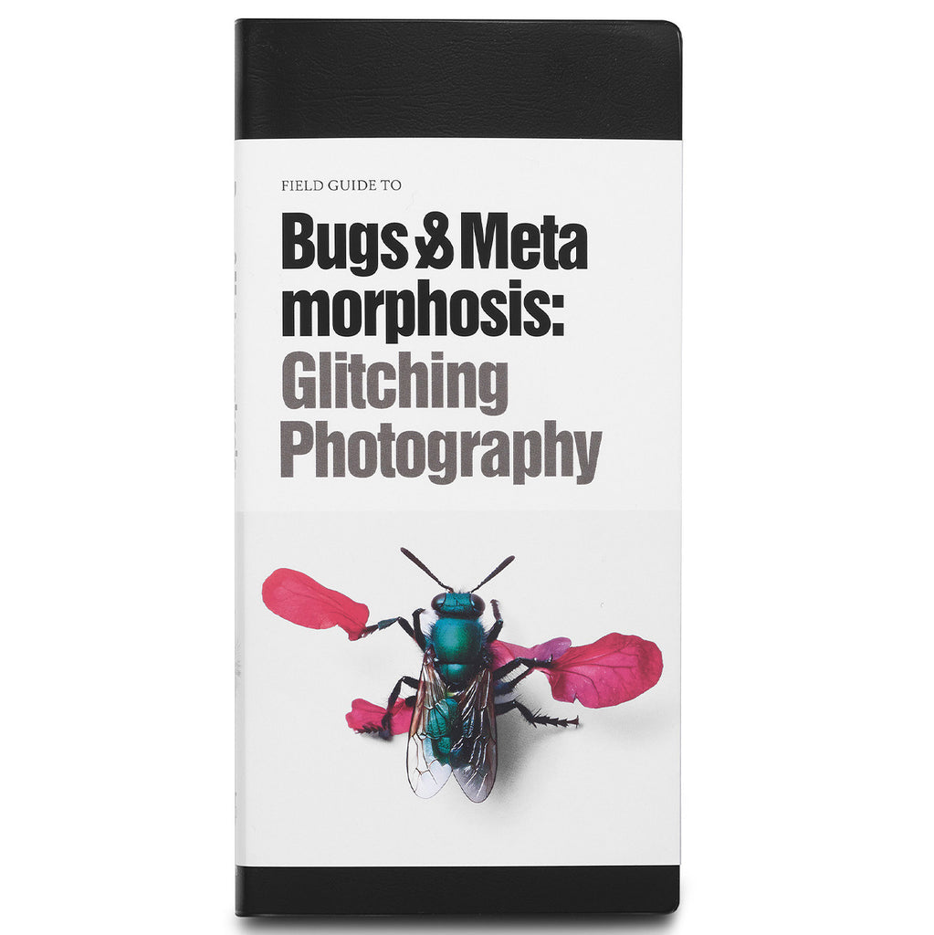 Field guide to bugs & metamorphosis : glitching photography - Joanna ...
